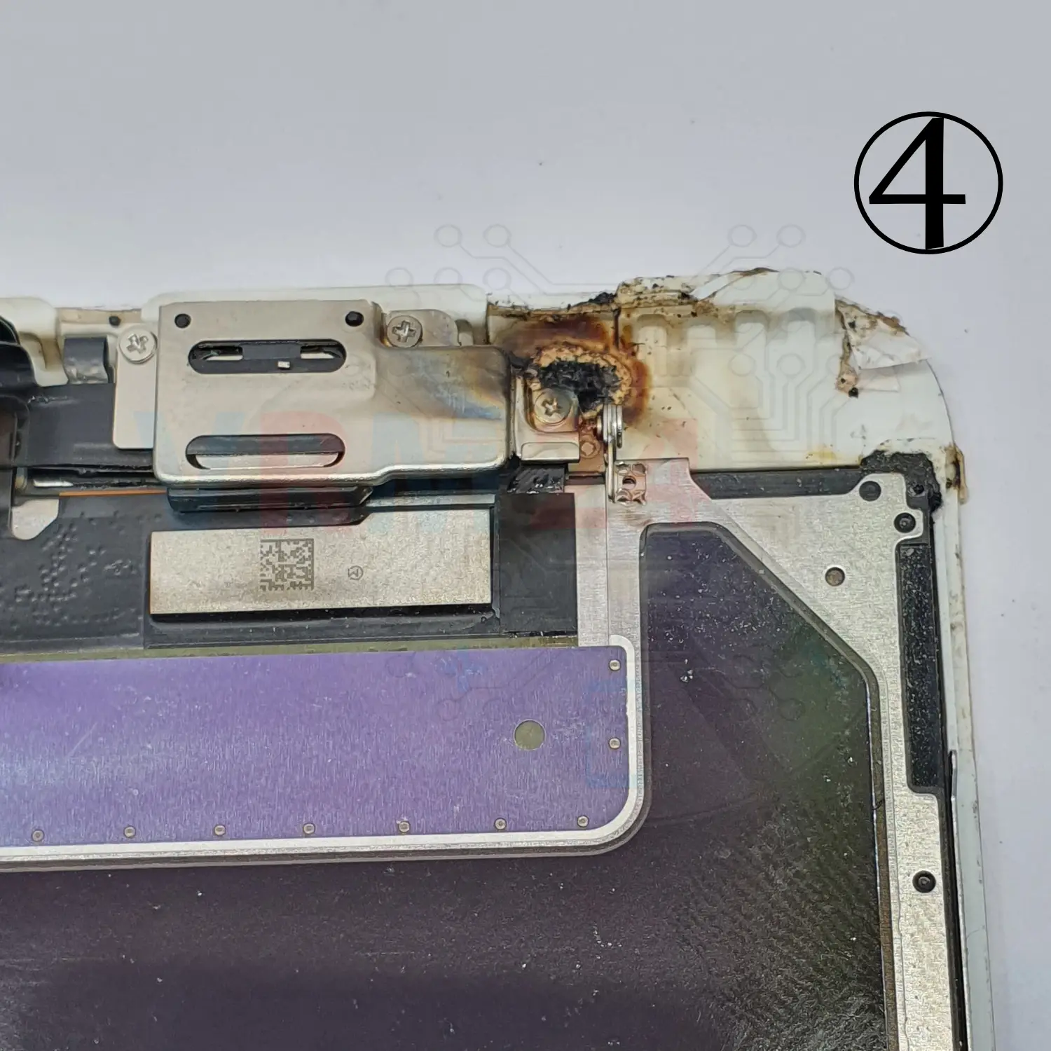 Why you shouldn’t dry phones in the microwave oven, EVEN for five ...